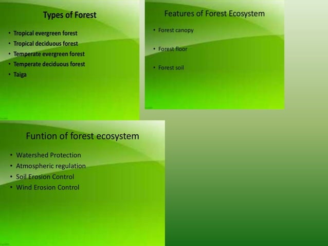 Eco system power point presentation | PPTX | Science