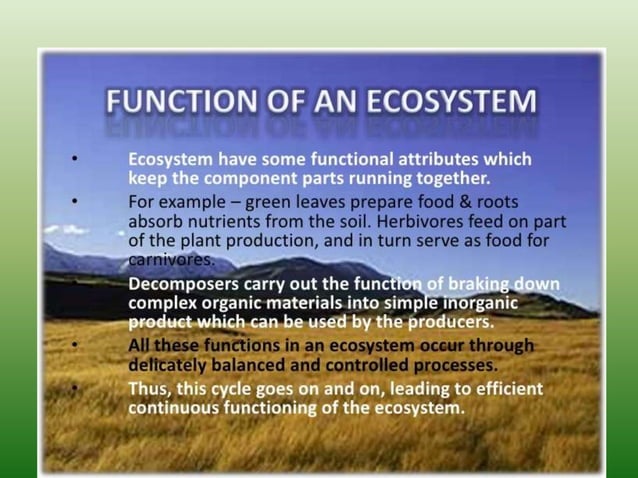 Eco system power point presentation | PPTX | Science