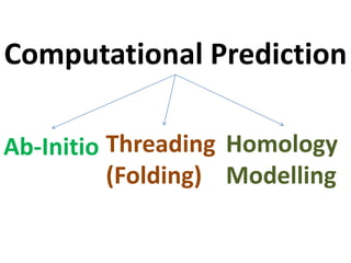 Protein Predictinon | PPT
