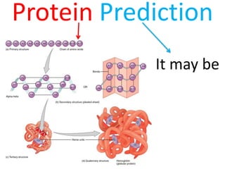 Protein Predictinon | PPT
