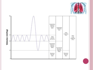 pulmonary function tests ppt | PPTX
