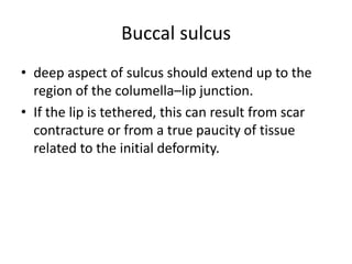 Secondary cleft lip deformities | PPTX