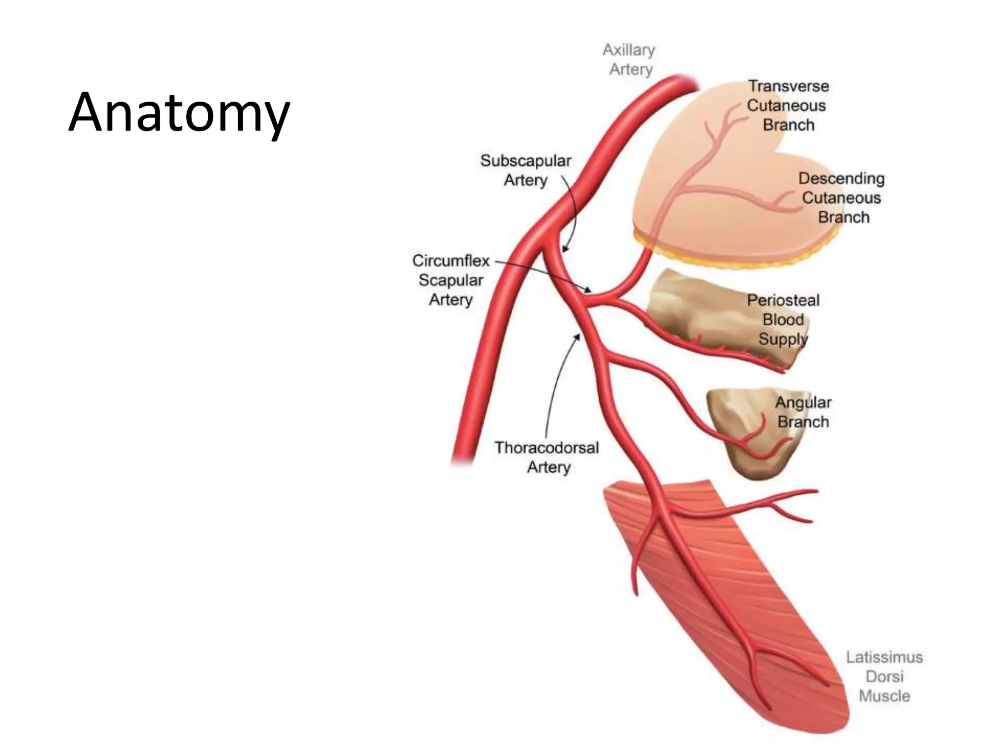 Parascapular and free fibula flaps | PPTX