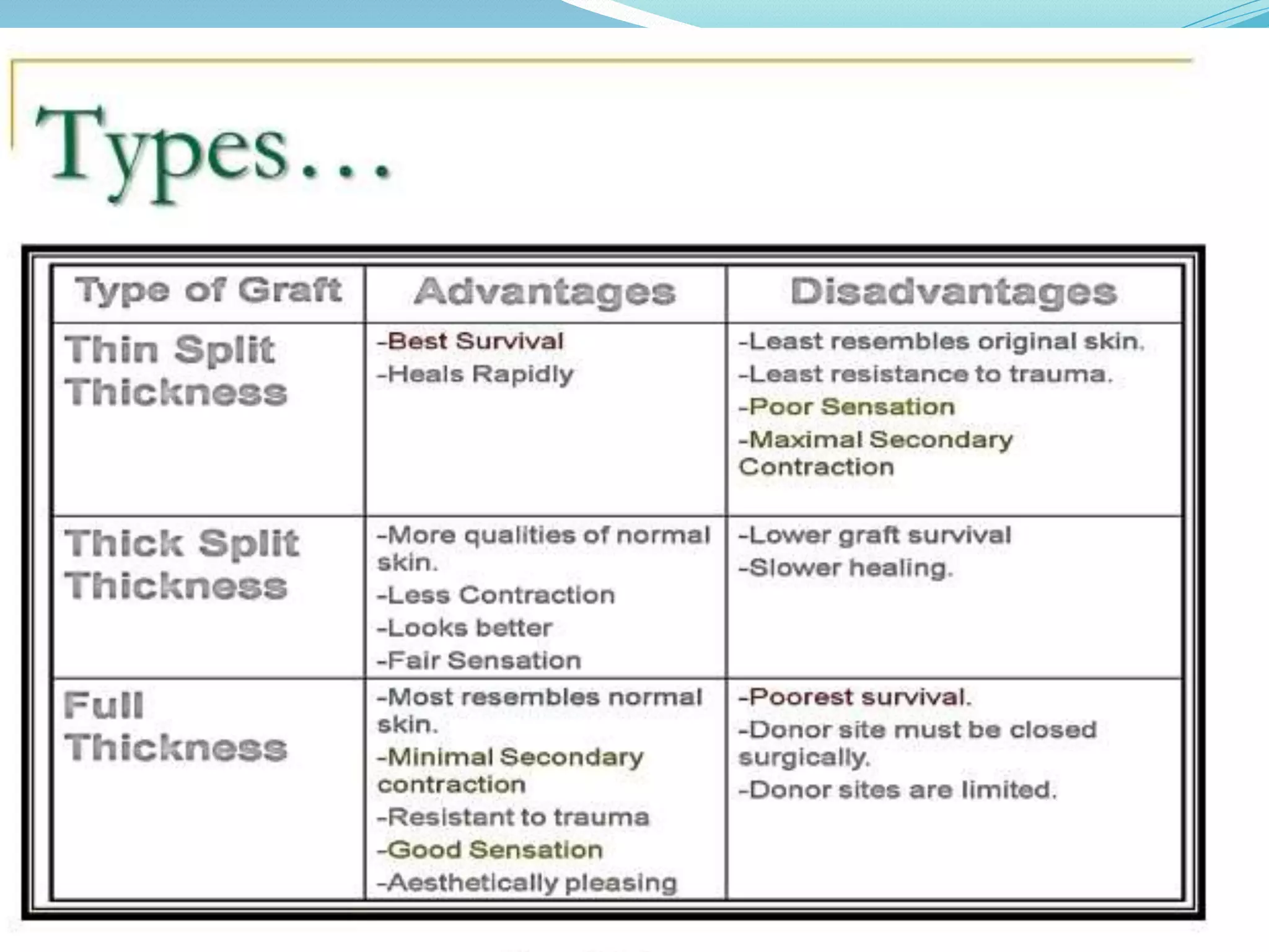 Skin healing and repair | PPTX