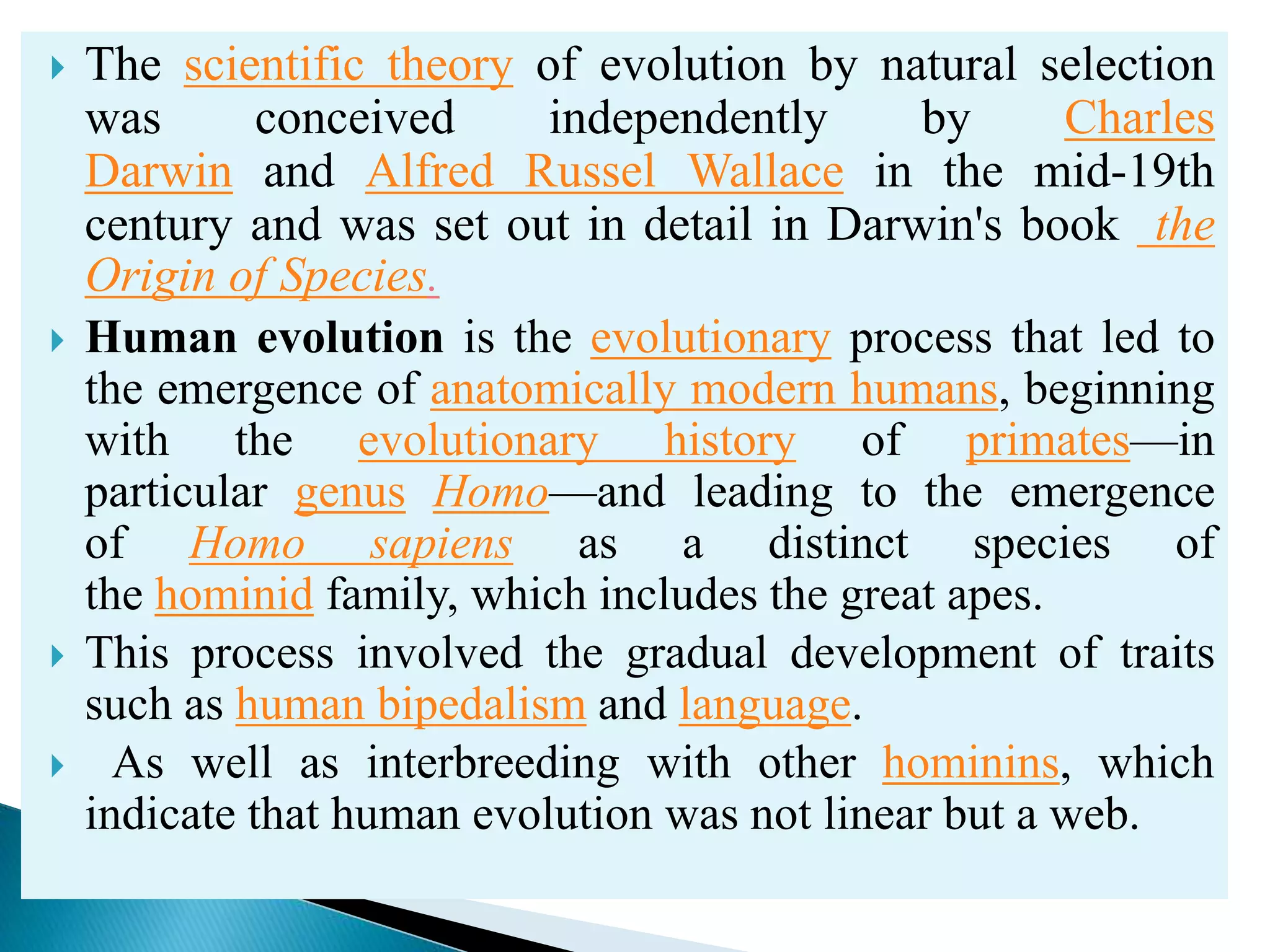 Study of Human evolution | PPTX