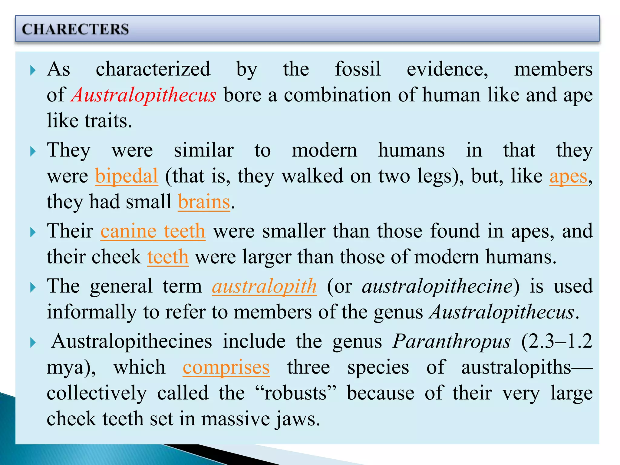 Study of Human evolution | PPTX