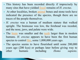 Study of Human evolution | PPTX