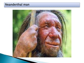 Study of Human evolution | PPTX