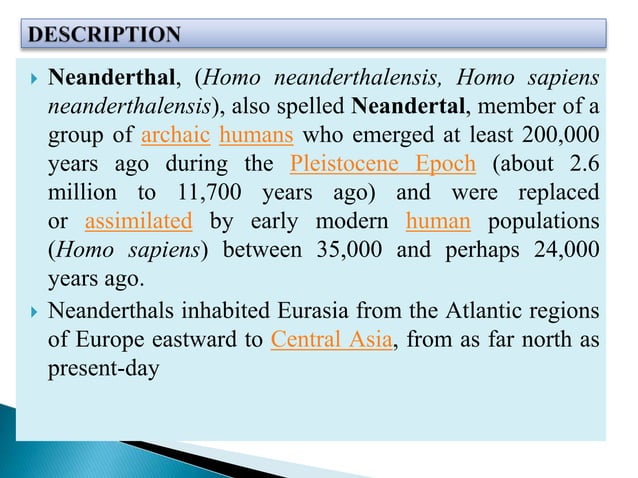 Study of Human evolution | PPTX