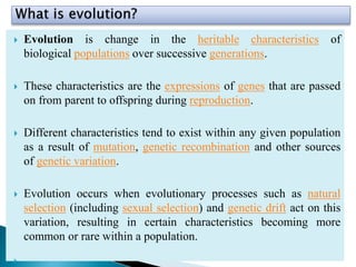 Study of Human evolution | PPTX