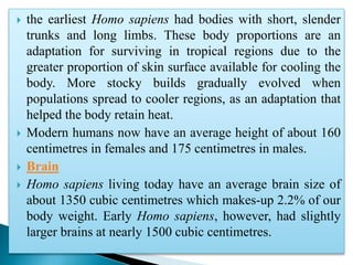 Study of Human evolution | PPTX