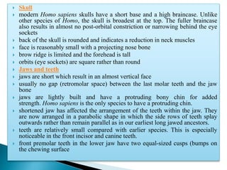 Study of Human evolution | PPTX