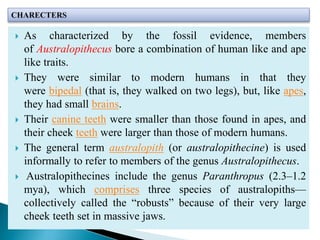 Study of Human evolution | PPTX