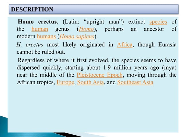 Study of Human evolution | PPTX