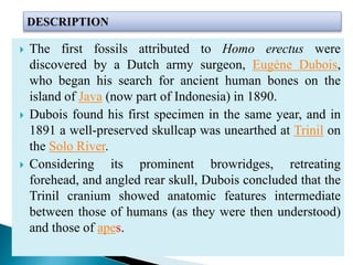 Study of Human evolution | PPTX