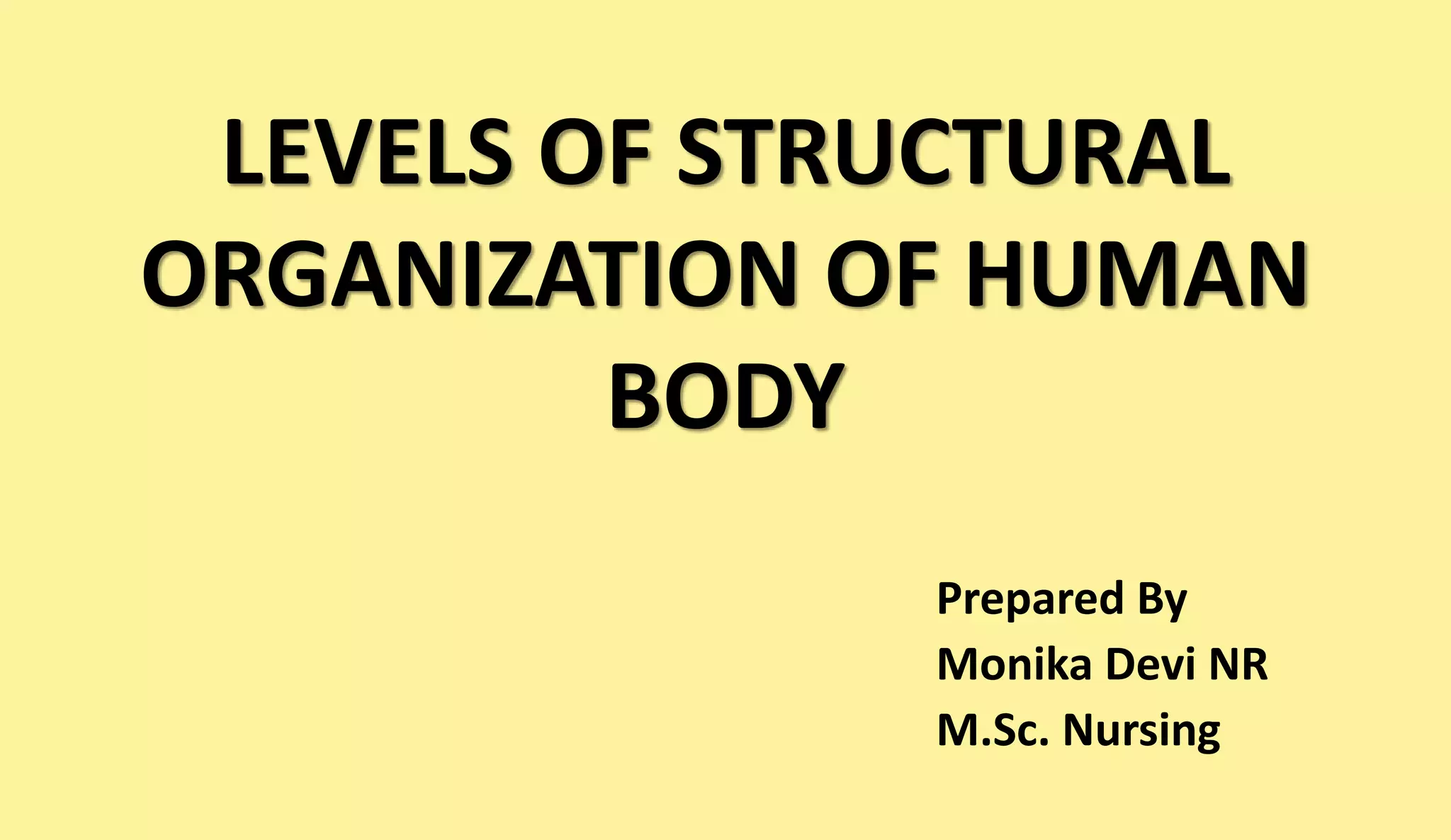 levels of structural organisation of human body | PPTX