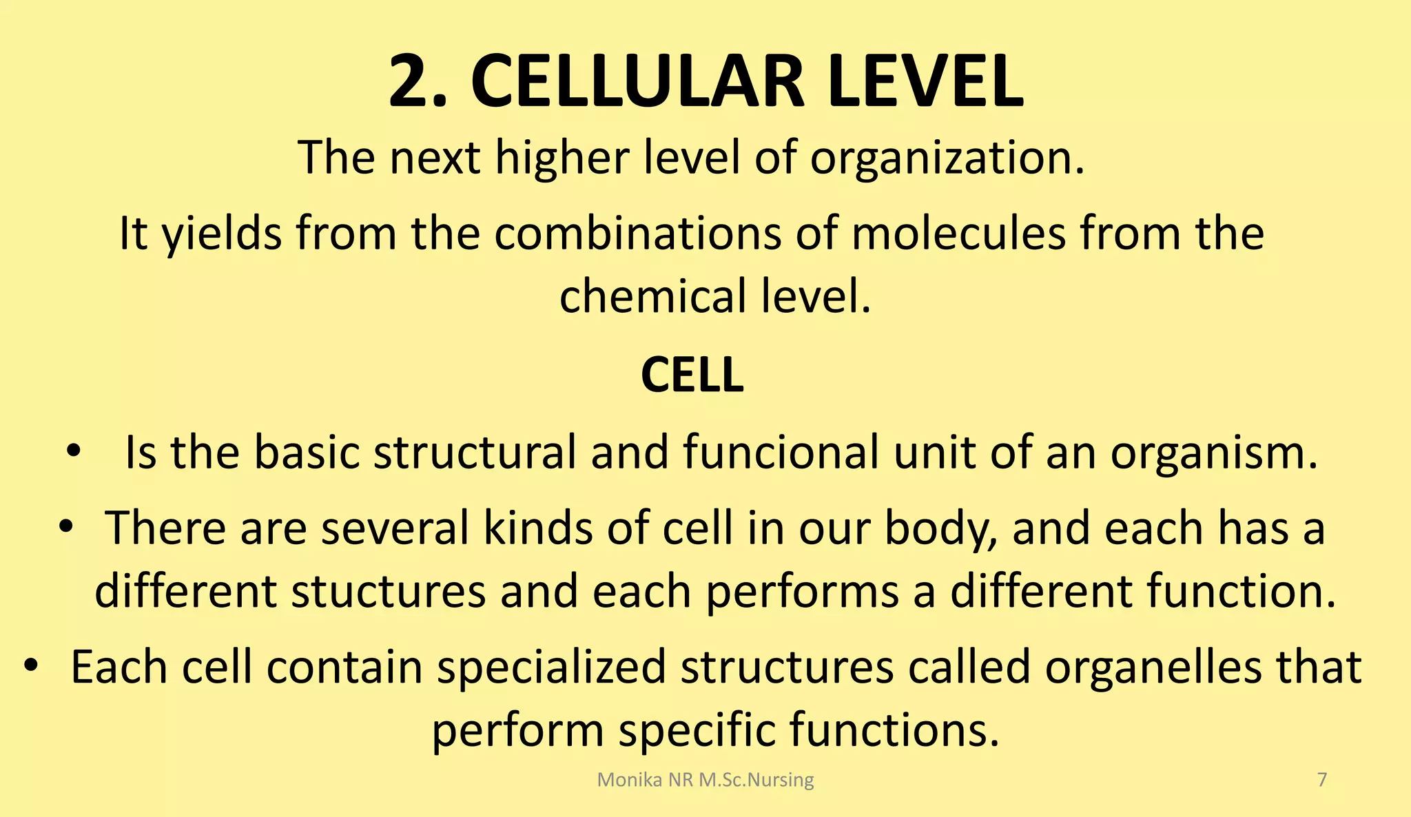 levels of structural organisation of human body | PPTX