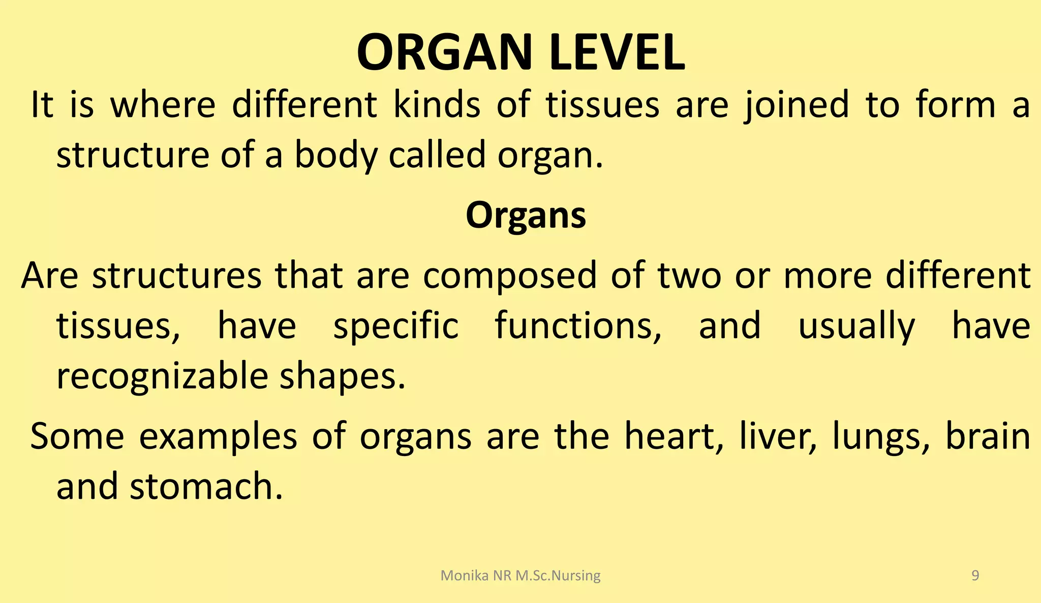 levels of structural organisation of human body | PPTX