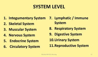 levels of structural organisation of human body | PPTX