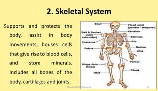 levels of structural organisation of human body | PPTX