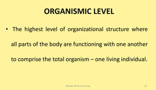levels of structural organisation of human body | PPTX