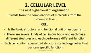 levels of structural organisation of human body | PPTX