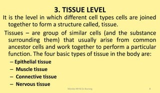 levels of structural organisation of human body | PPTX