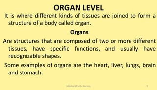 levels of structural organisation of human body | PPTX