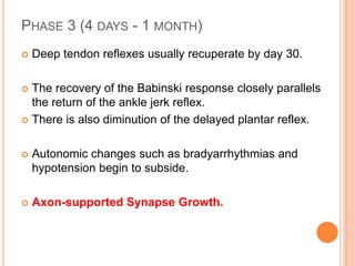 Spinal shock | PPTX