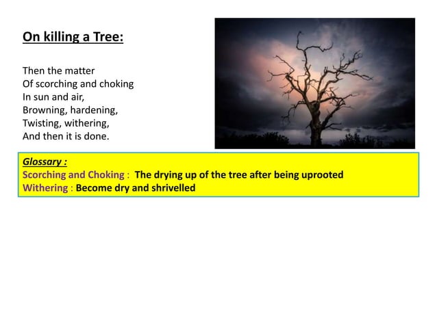 On killing a tree class 9th | PPTX