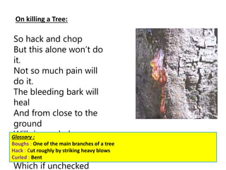 On killing a tree class 9th | PPTX