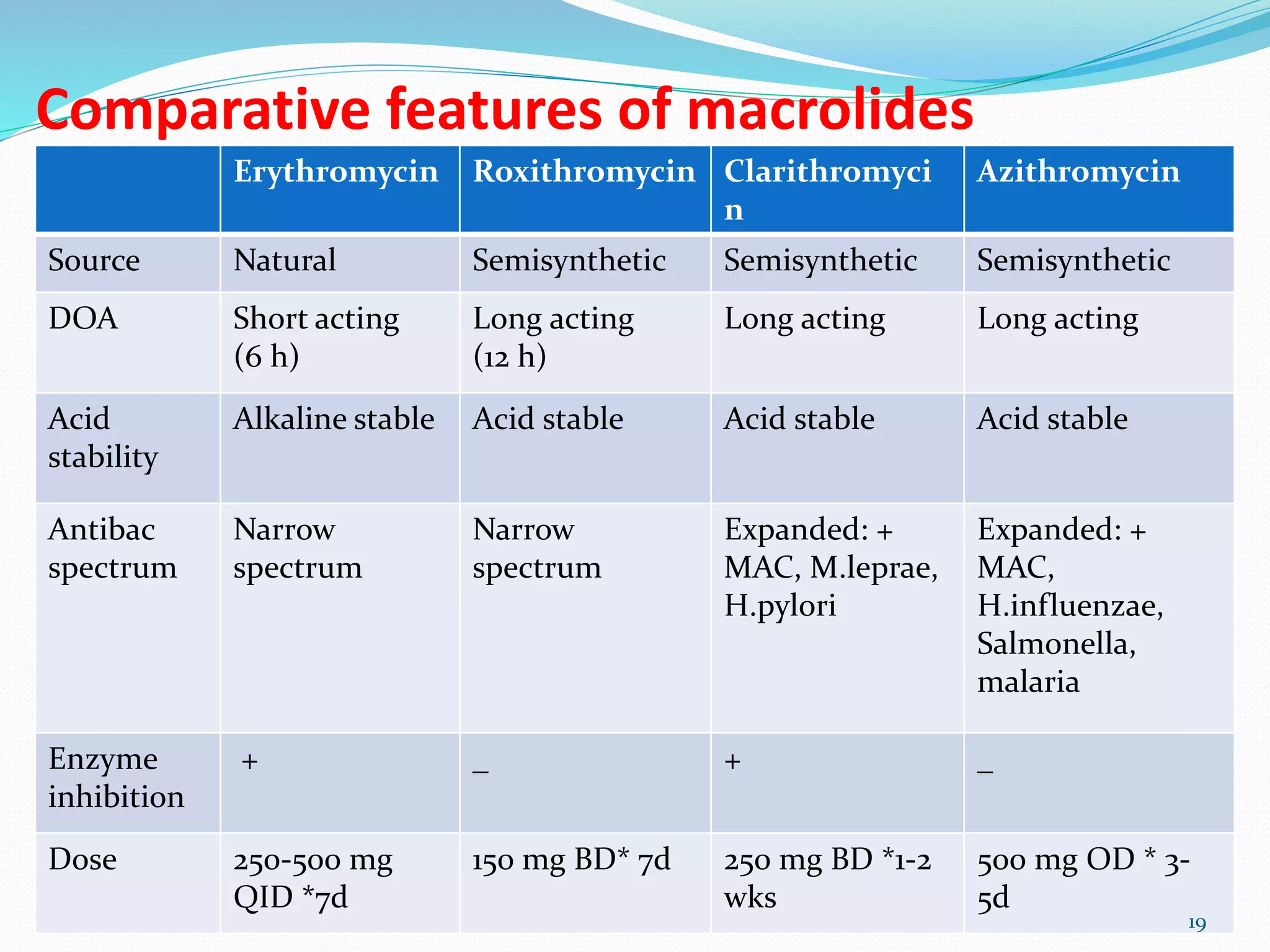 Macrolides Antibiotics | PPTX