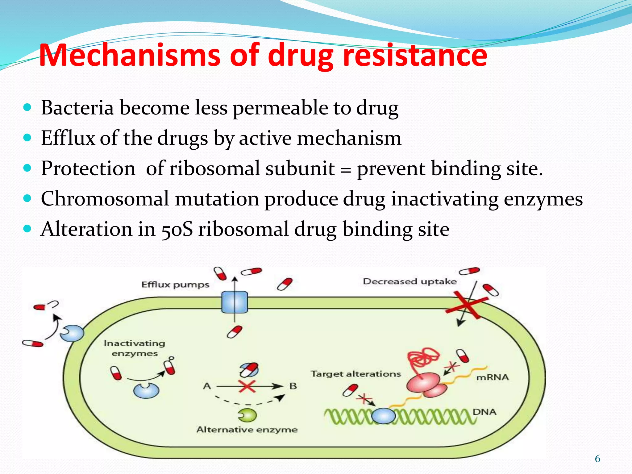 Macrolides Antibiotics | PPTX