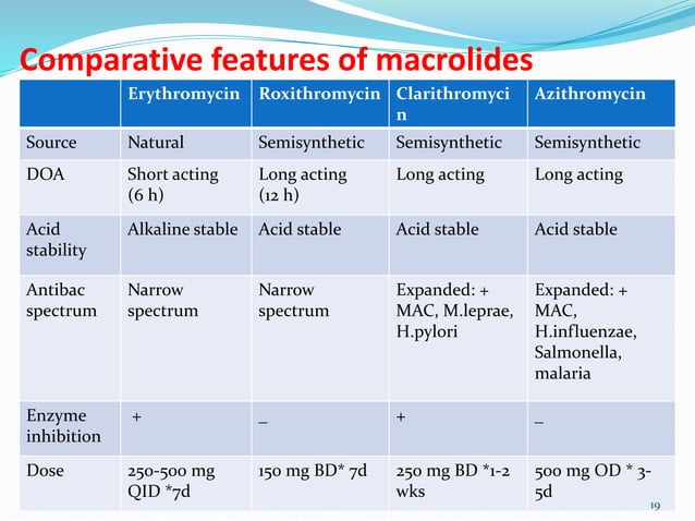 Macrolides Antibiotics | PPTX