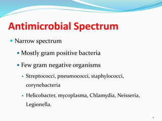Macrolides Antibiotics | PPTX