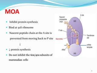 Macrolides Antibiotics | PPTX