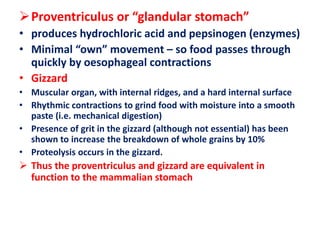 New Microsoft Office PowerPoint Presentation.pptx