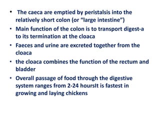 New Microsoft Office PowerPoint Presentation.pptx