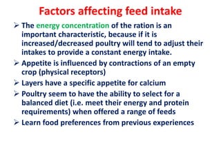 New Microsoft Office PowerPoint Presentation.pptx