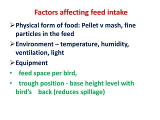 New Microsoft Office PowerPoint Presentation.pptx