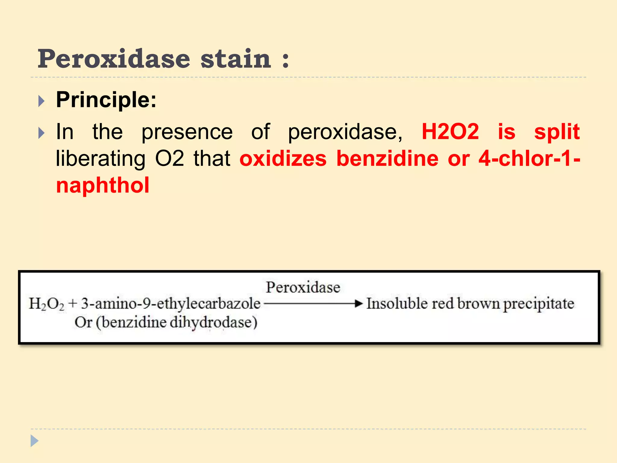 Special stains in Bone marrow examination | PPTX