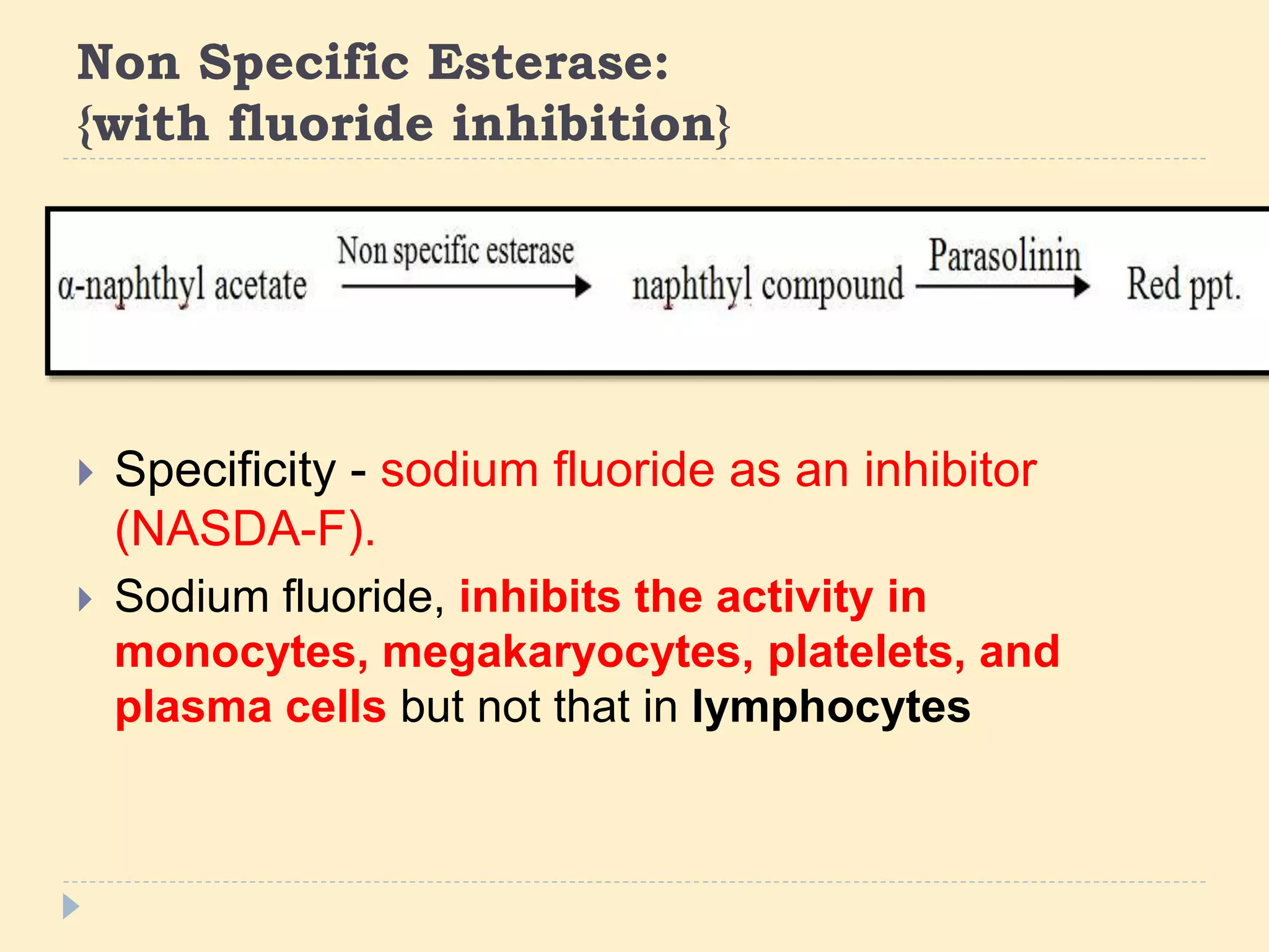 Special stains in Bone marrow examination | PPTX