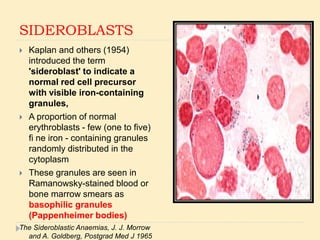 Special stains in Bone marrow examination | PPTX