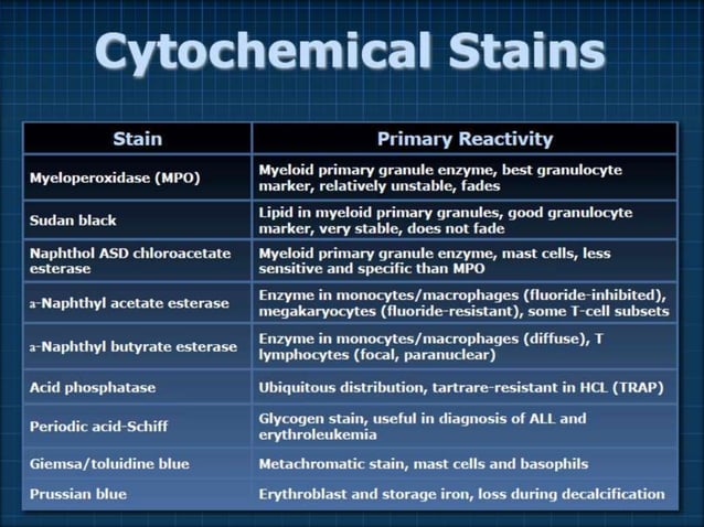 Special stains in Bone marrow examination | PPTX | Blood Disorders ...