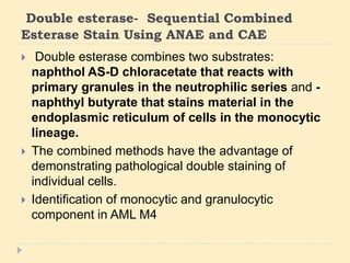 Special stains in Bone marrow examination | PPTX
