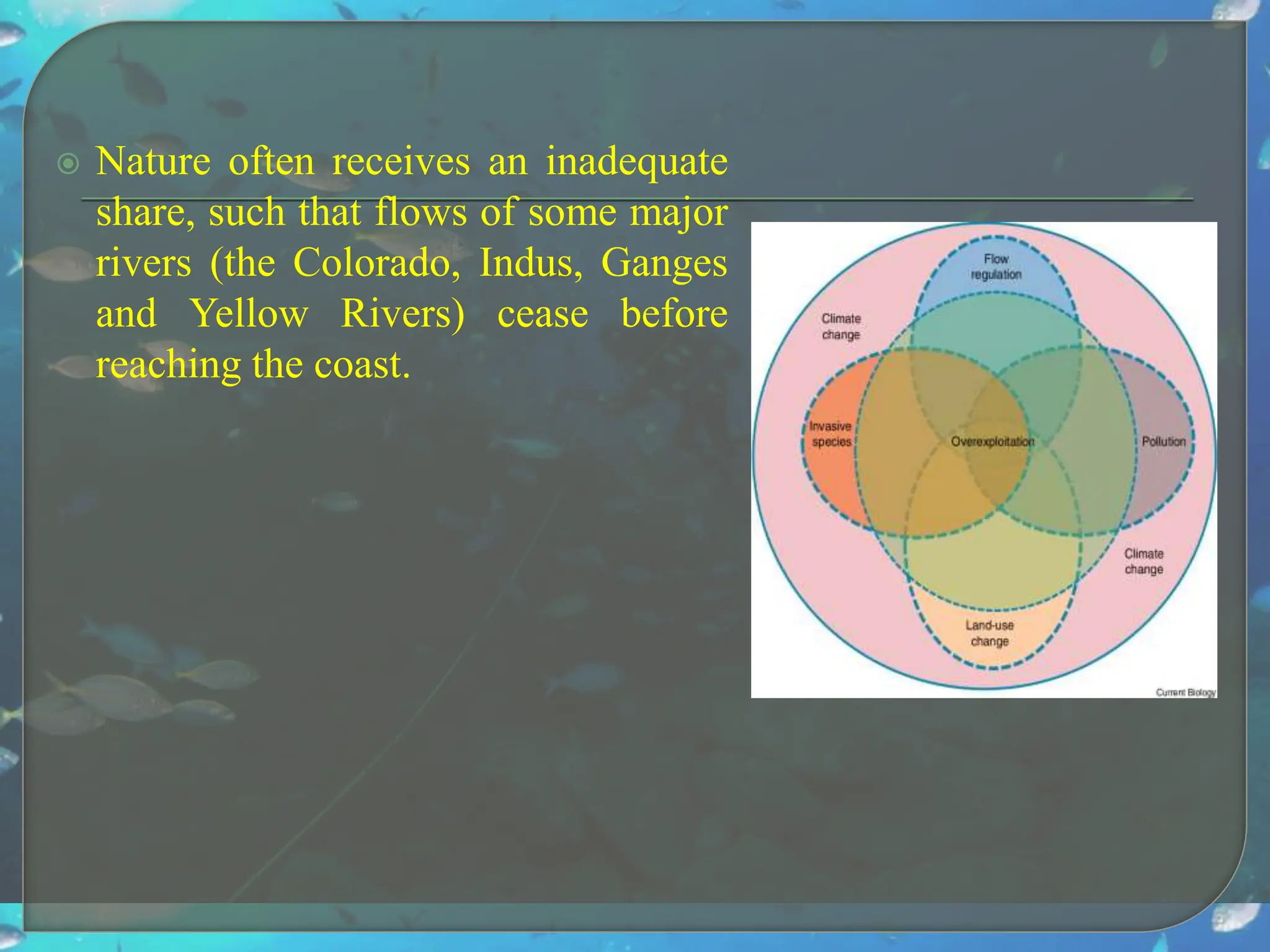 global fish biodiversity. | PPTX