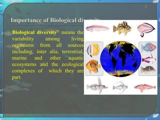 global fish biodiversity. | PPTX