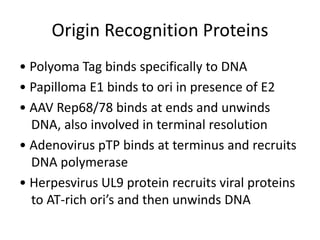 New Microsoft Office PowerPoint Presentation.pptx