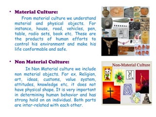Culture PPT for GNM, B.Sc Nursing Students | PPTX