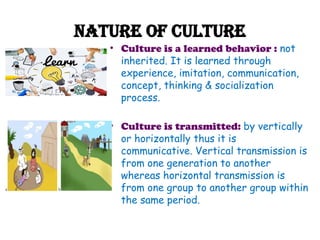 Culture PPT for GNM, B.Sc Nursing Students | PPTX